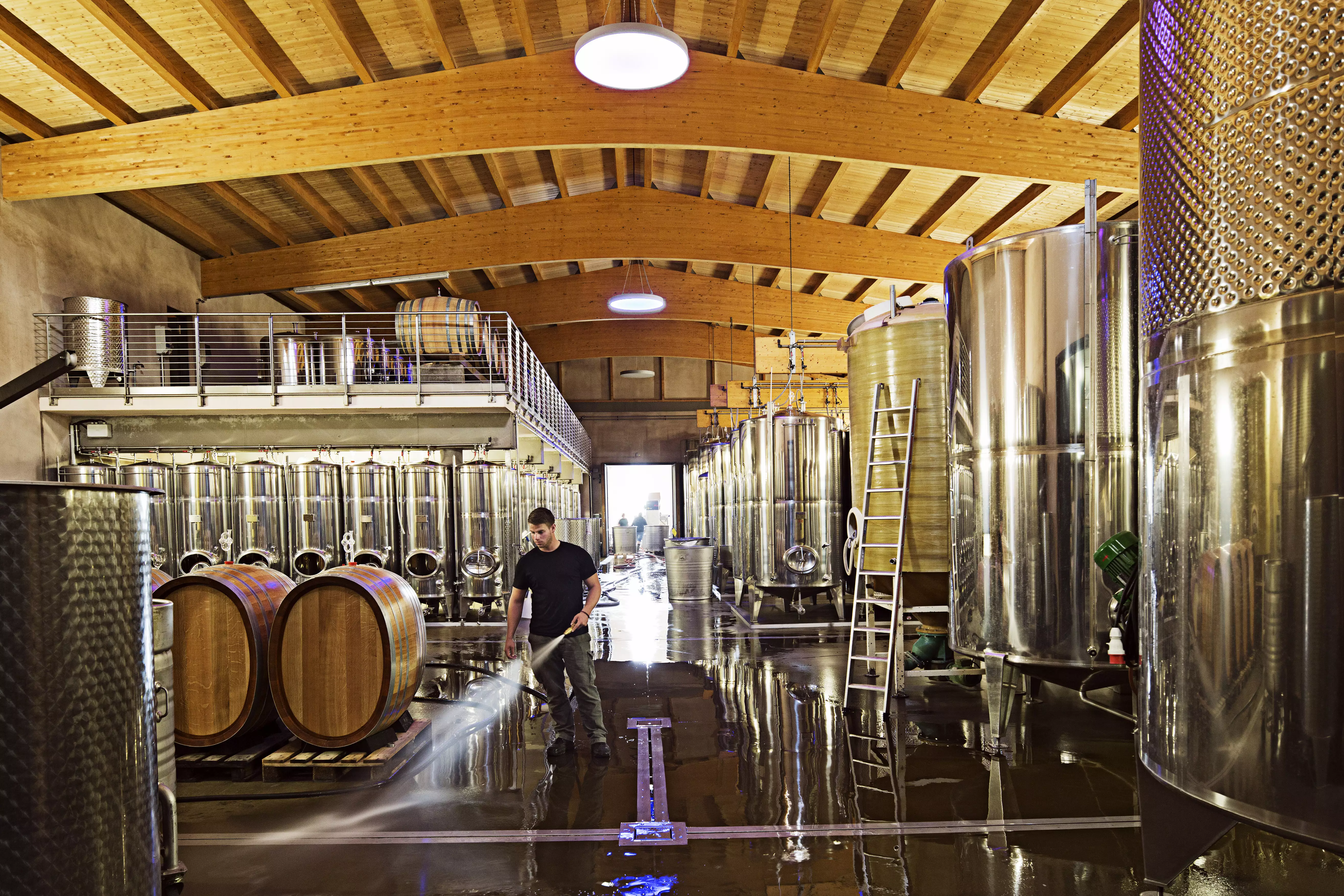 Deutsches Weininstitut