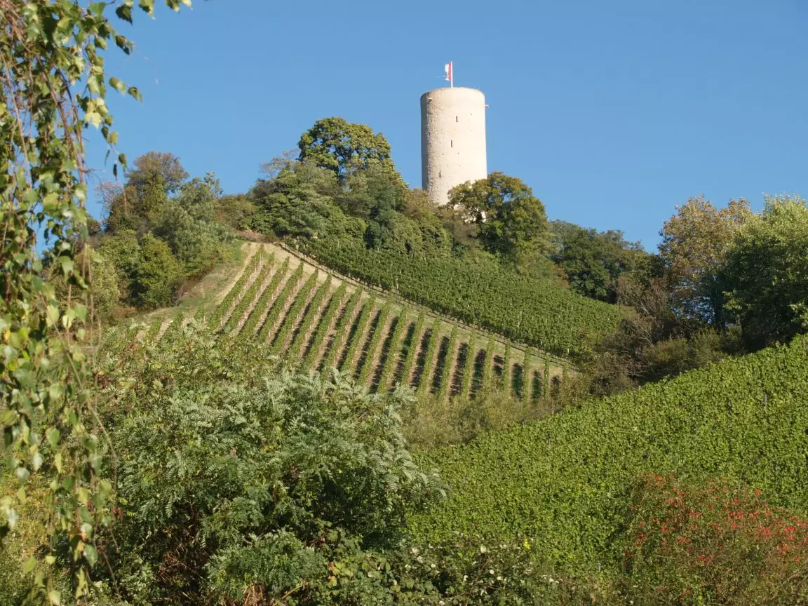 Deutsches Weininstitut: Weinanbaugebiete