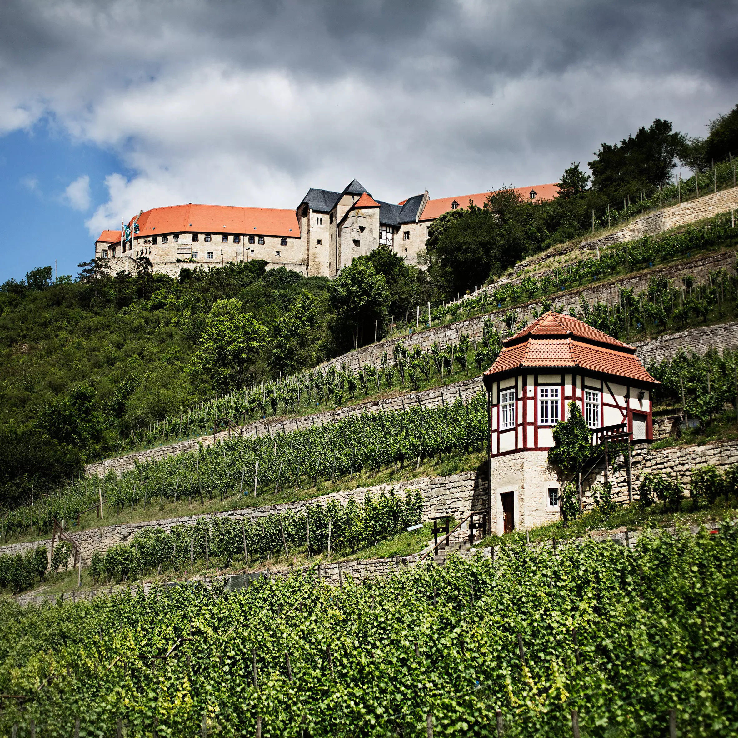 Deutsches Weininstitut: Weinanbaugebiete