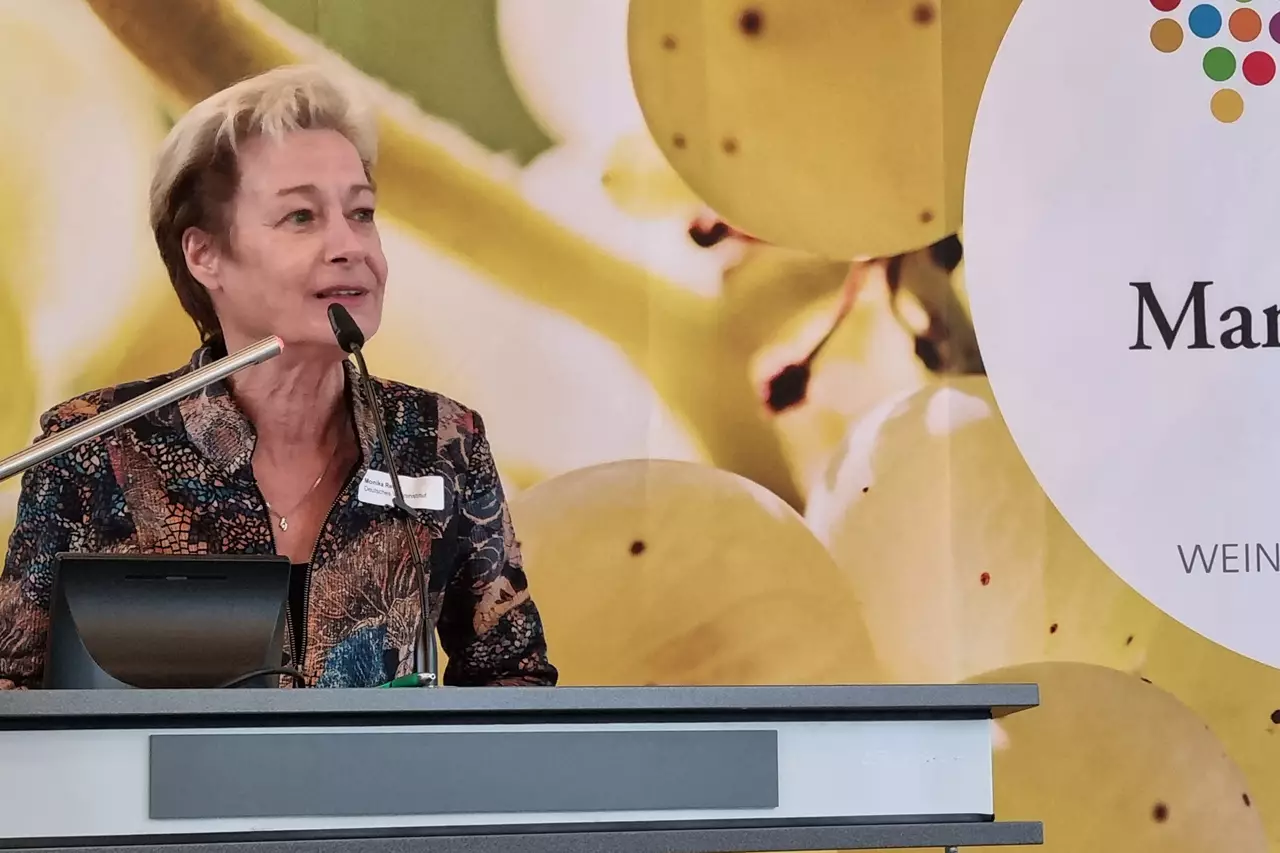 Deutsches Weininstitut: Meldung