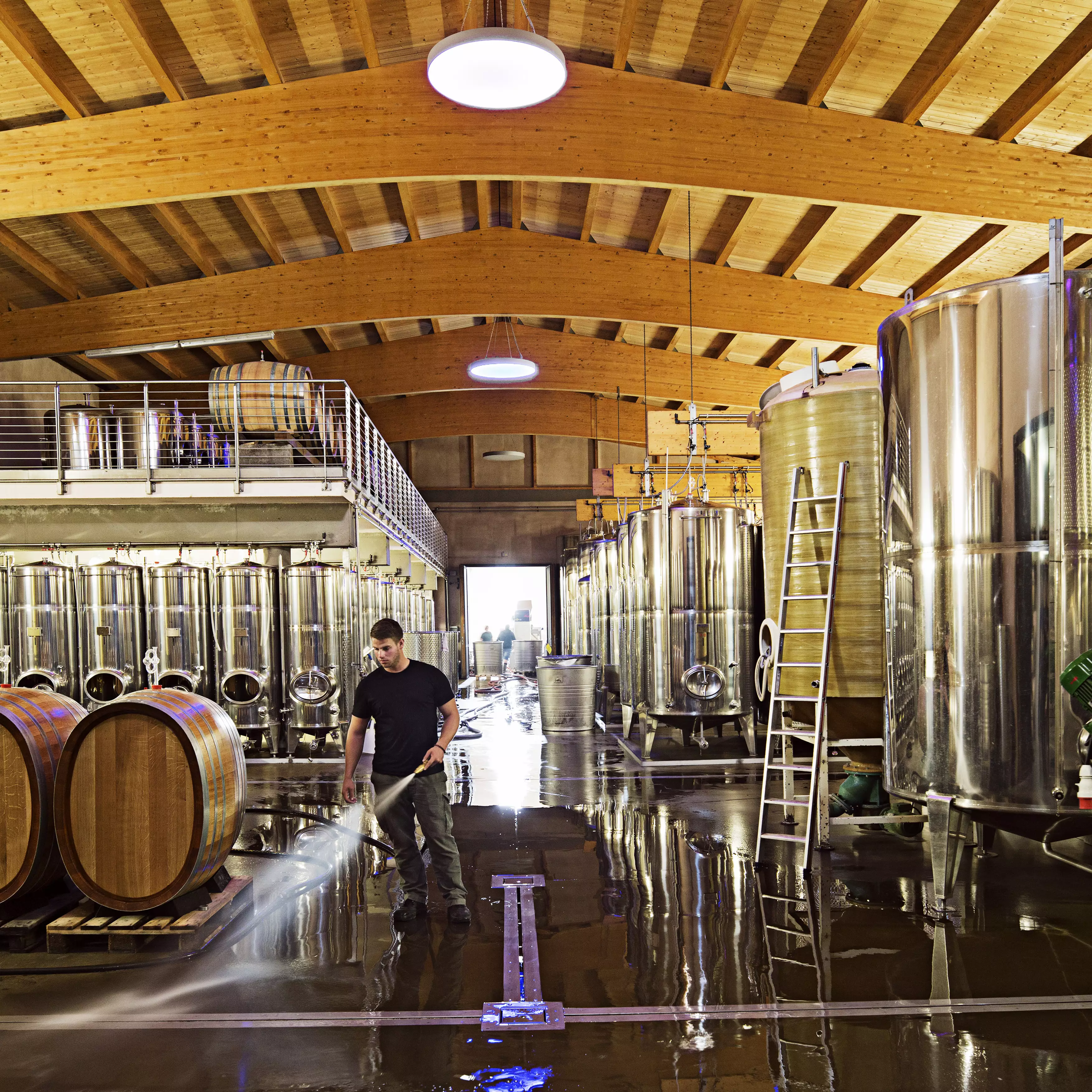 Deutsches Weininstitut: Winemaking in the cellar