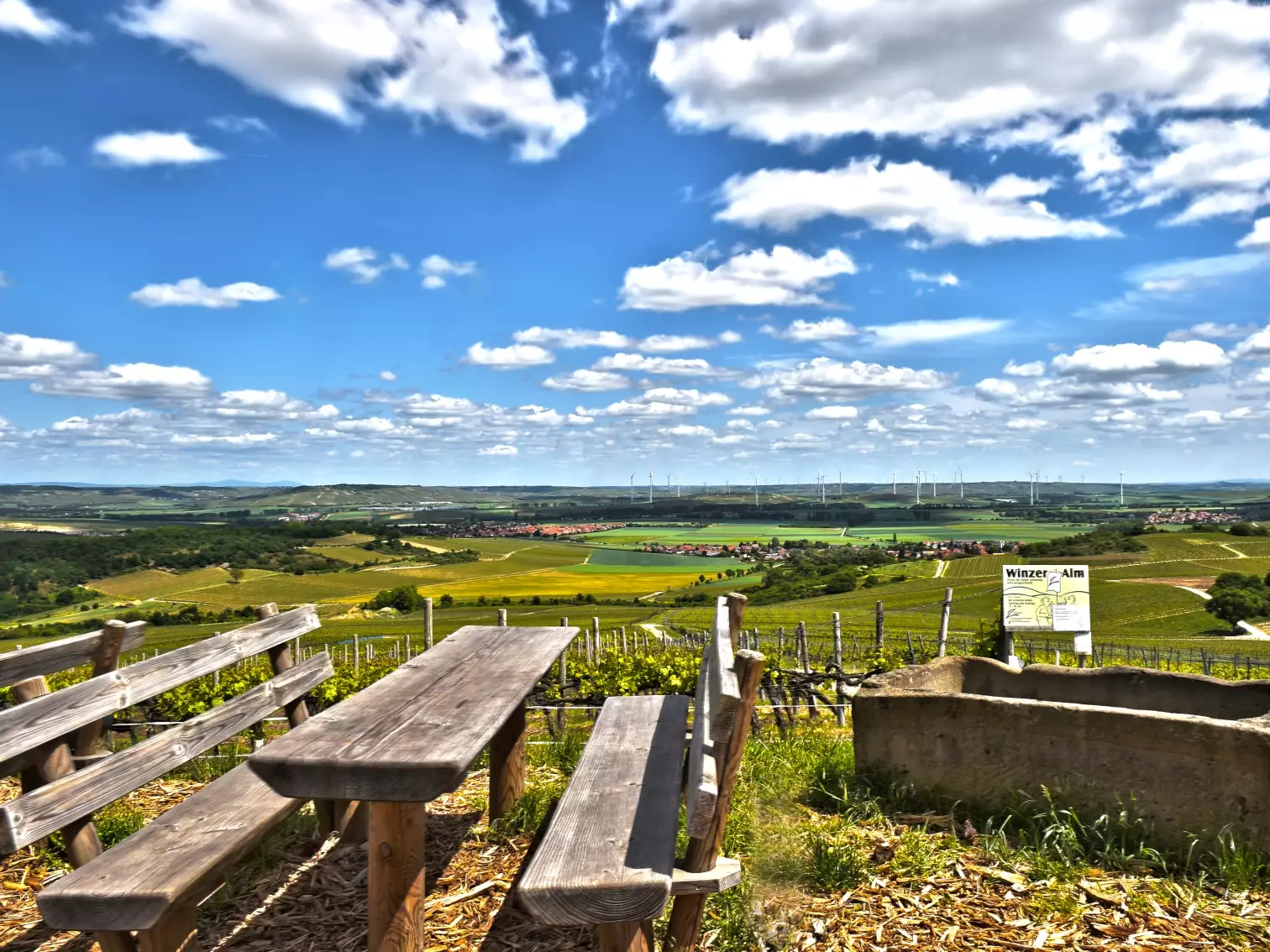 Deutsches Weininstitut: where are German wines grown
