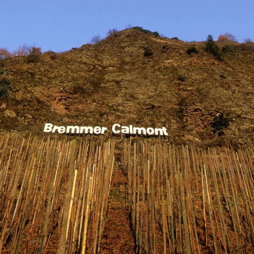 Deutsches Weininstitut: Highlights of German wine culture