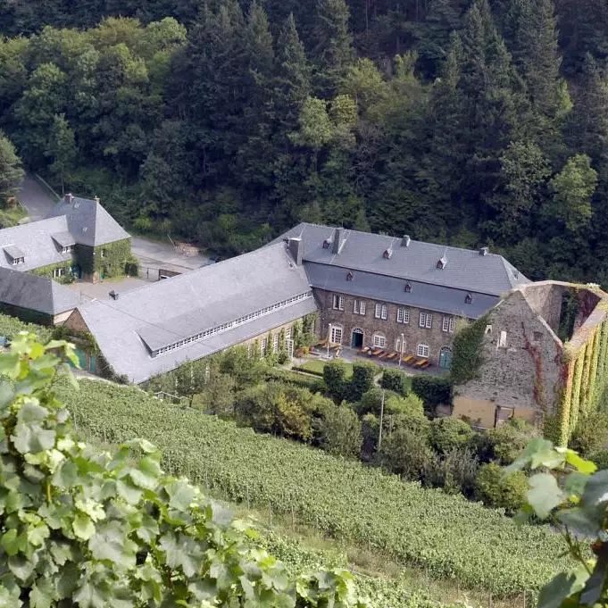 Deutsches Weininstitut: Highlights of German wine culture